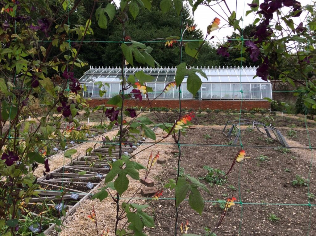 Find A Griffin Glasshouse In An NGS Open Garden This Year